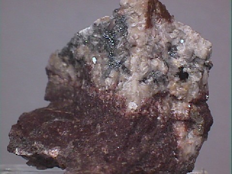 Selenium Compounds